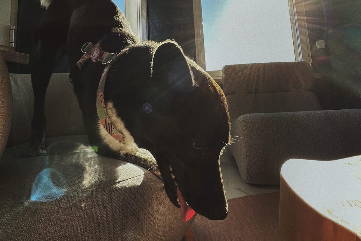 About Luna House – Luna House & Cowork